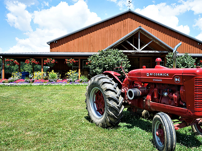 This vintage McCormick tractor isn't just decoration&mdash;it's a reminder of the authentic farming heritage that grounds this place.