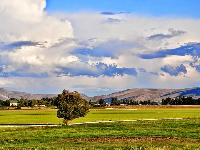 The Kittitas Valley spreads out like nature's own green carpet, with mountains standing guard in the distance.