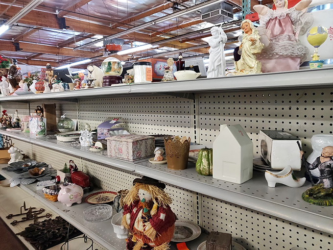 Porcelain figurines that once graced grandma's curio cabinet now await adoption. Each piece silently whispers, "Take me home and make your friends wonder about your sudden affinity for collectibles."
