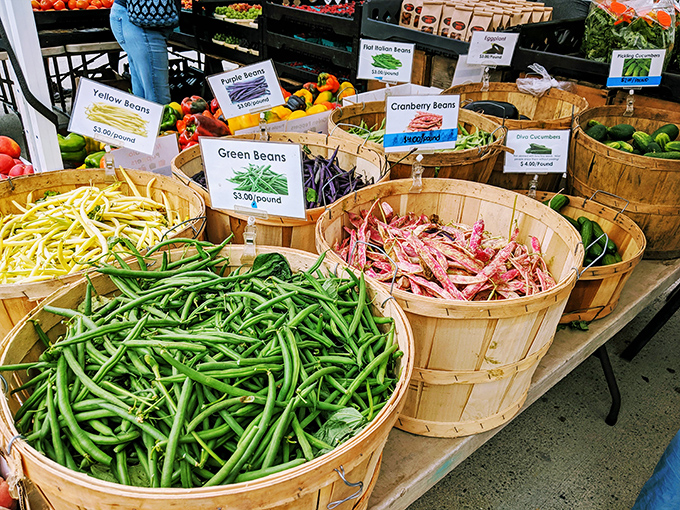 Nature's color palette on full display&mdash;these farm-fresh beans aren't just food, they're conversation pieces waiting to happen in your next dinner party.
