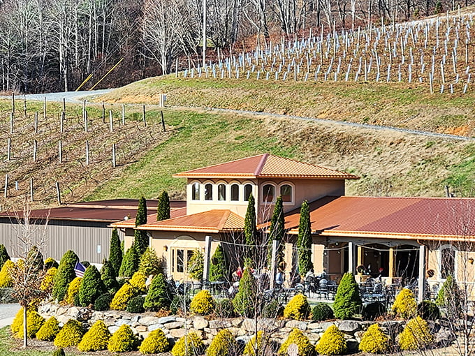 Winter reveals the winery's Mediterranean soul&mdash;terra cotta roofs and stucco walls standing sentinel over dormant vines awaiting spring's revival.