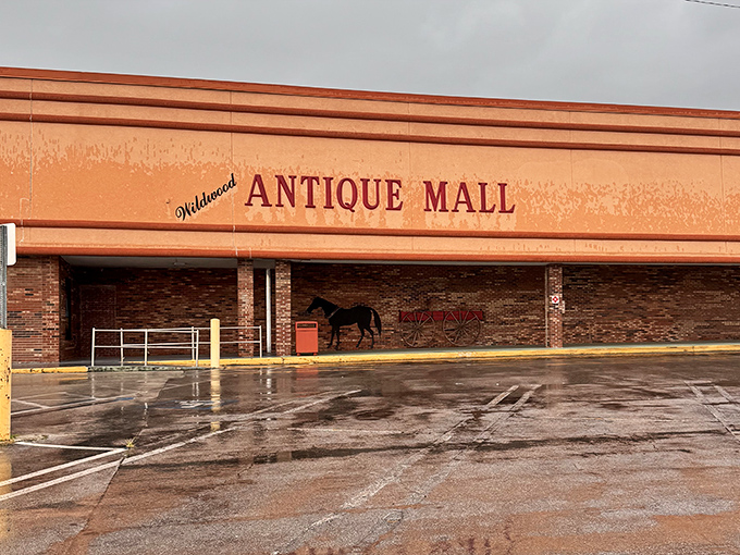 After a Florida rainstorm, the coral-colored facade glows like a beacon for collectors. That horse silhouette isn't just decoration &ndash; it's your first clue to adventure.