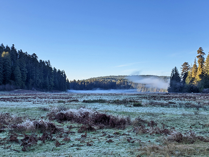 Dawn breaks over Elk Prairie, painting the meadow with frost and mystery. This is California's version of a winter wonderland, minus the shoveling.