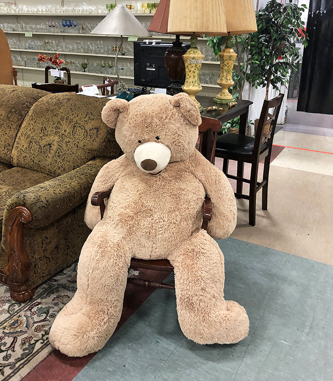 This oversized teddy bear has seen things. He sits patiently waiting for someone to rescue him from his vintage furniture purgatory.