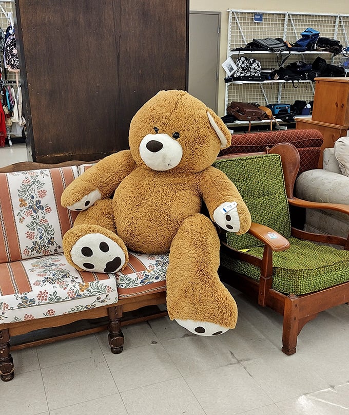 This teddy bear has seen things. Now he's lounging on vintage furniture, waiting for someone new to share his adventures.