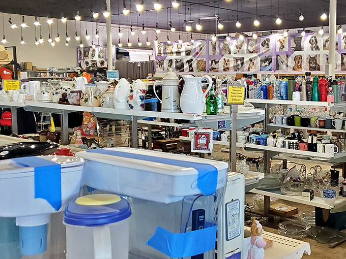 Porcelain storytellers waiting for new kitchens to call home. These elegant white coffee pots have probably served morning brew to countless Tucson residents before finding their way here. 