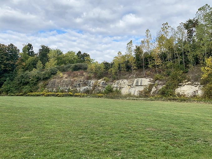 Ancient limestone formations stand like nature's art installation, a reminder that Ohio's landscape was sculpted long before Instagram filters existed.