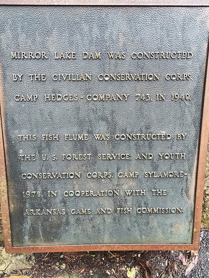 History set in stone. This plaque reveals the waterfall's Depression-era origins, when the CCC turned necessity into enduring natural artistry.