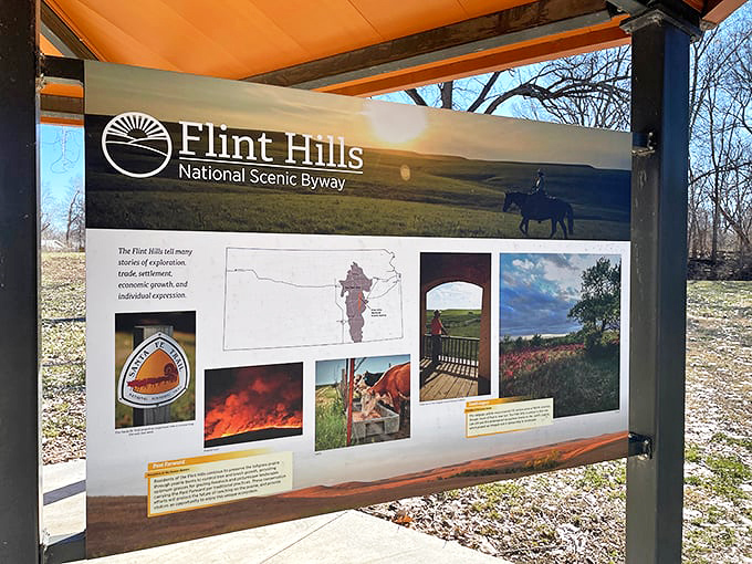 Winter reveals the Flint Hills' stark beauty, where dormant grasses create a golden sea beneath dramatic skies.
