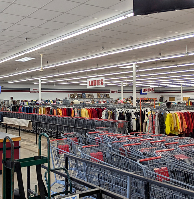 Shopping cart armadas stand ready for bargain explorers. This isn't just organized chaos &ndash; it's methodical madness with a map.
