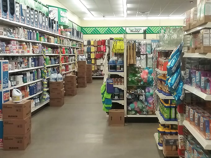 Aisles of possibility stretch before you like the yellow brick road of affordability. Each turn reveals new dollar discoveries waiting to be made.