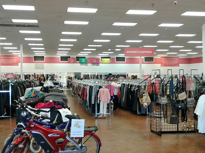 Welcome to the clothing jungle, where fashion finds from every decade await their second chance at greatness. The thrill of the hunt begins here.