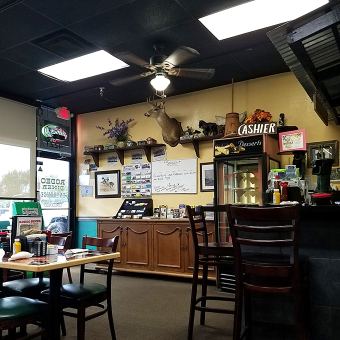 Step inside and you're greeted by that quintessential diner charm &ndash; mounted deer head, wood paneling, and the promise of honest-to-goodness home cooking.