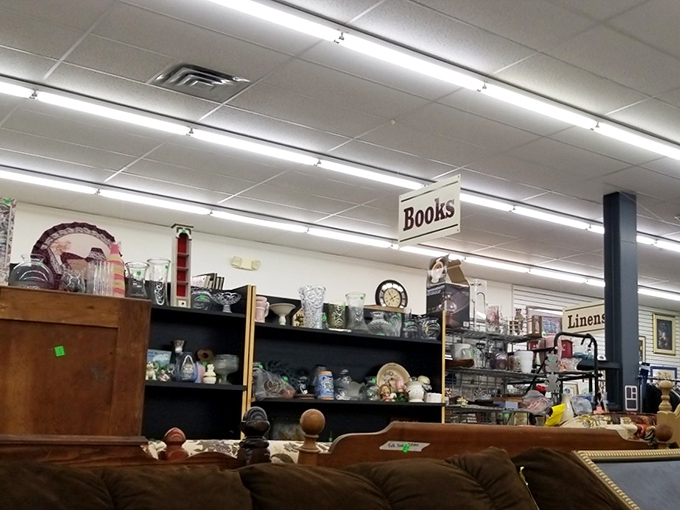 Books and housewares coexist in perfect harmony, a bibliophile's dream where vintage glassware meets paperback adventures.