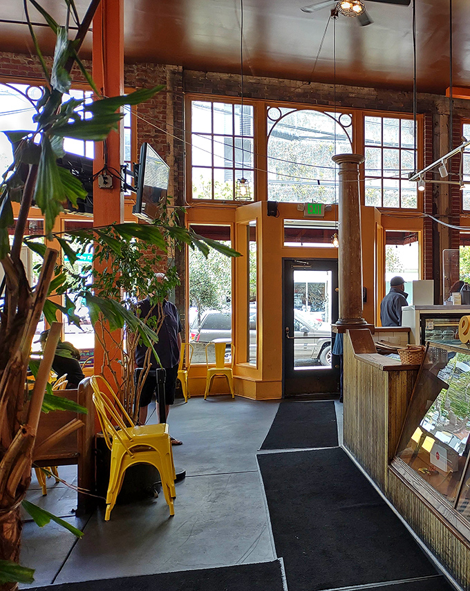 Sunlight streams through arched windows, illuminating a space where plants thrive despite the constant temptation of barbecue smoke.