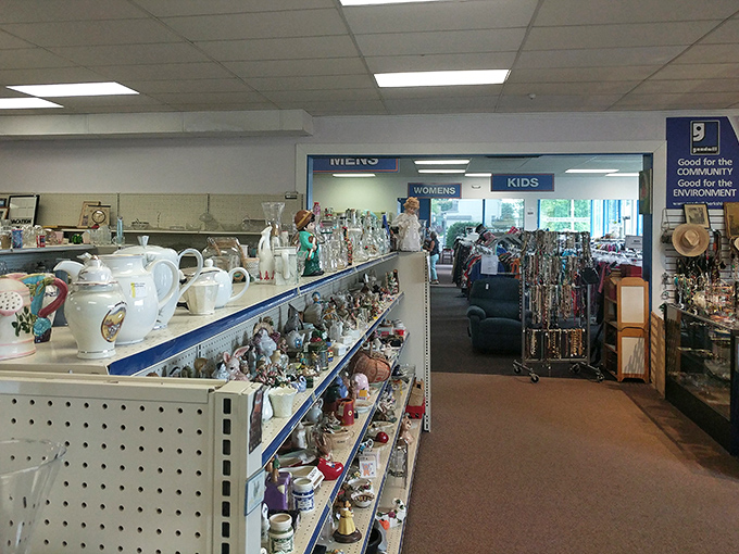 Teapots lined up like dignified veterans, each one ready to steep a hundred stories over afternoon conversations. 