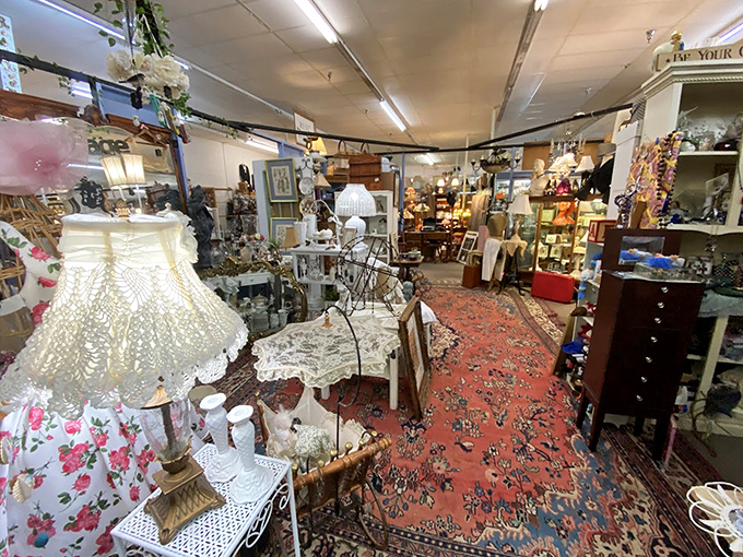 Stepping inside feels like tumbling down the rabbit hole. Every aisle tells a different story, with vintage lamps illuminating pathways through decades of memories. 