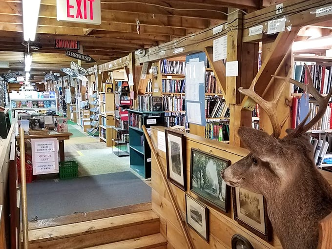 Where taxidermy meets taxonomy – this deer head seems to be judging your book selection while simultaneously guarding vintage treasures.