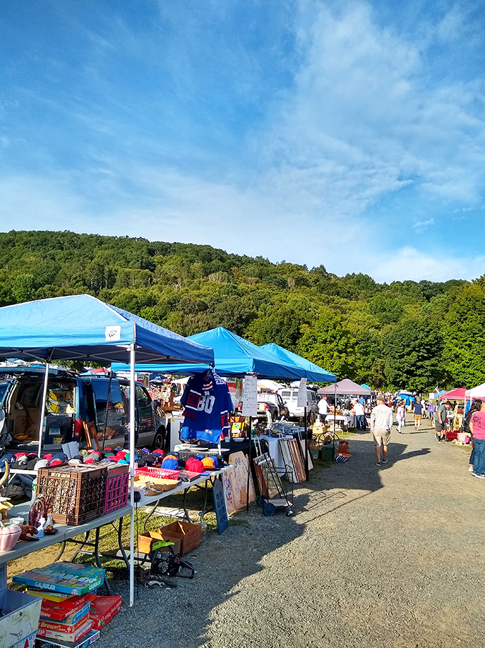 The Litchfield Hills provide a stunning backdrop for this Sunday ritual. Nature's beauty meets human creativity in a marketplace that feels timeless yet ever-changing.
