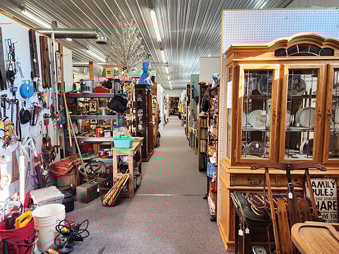 Aisles that seem to stretch into yesterday, where every turn reveals another decade's worth of memories waiting to be adopted.