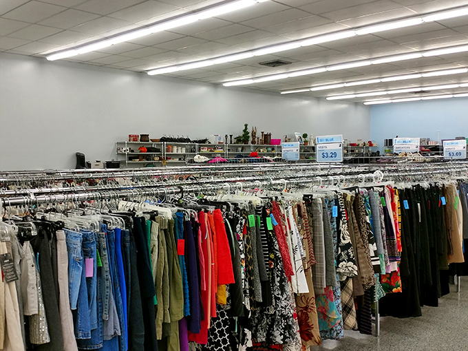 Endless racks of clothing create a textile rainbow, each hanger click a heartbeat in the rhythm of the treasure hunt.