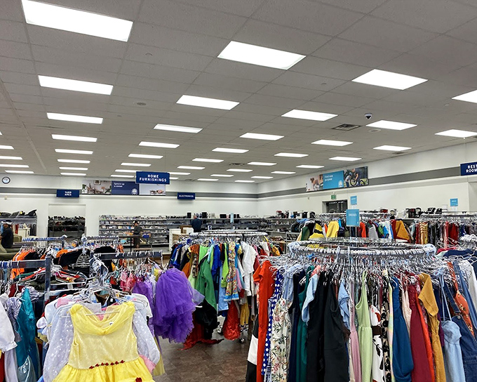 A sea of clothing racks stretches toward the horizon, where yesterday's fashion finds new life and new owners at delightfully gentle prices.