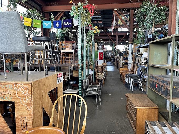 Chairs, tables, and cabinets create narrow pathways of possibility&mdash;like a furniture forest where every tree has a story.