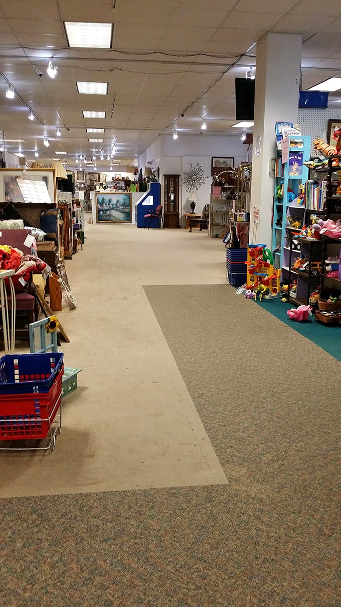 Long aisles stretch into the distance, each one a different neighborhood in this sprawling city of collectibles and memories.