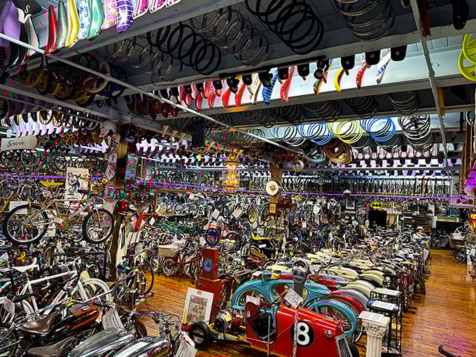 Not so much a museum as a magnificent obsession gone public. Imagine if your eccentric uncle's collection took over an entire warehouse.