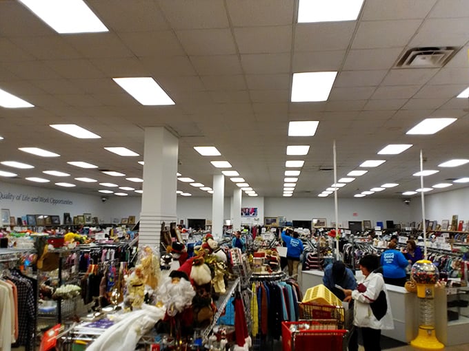 Fluorescent lights illuminate the promised land of secondhand shopping. Every aisle holds potential discoveries waiting for their second act.