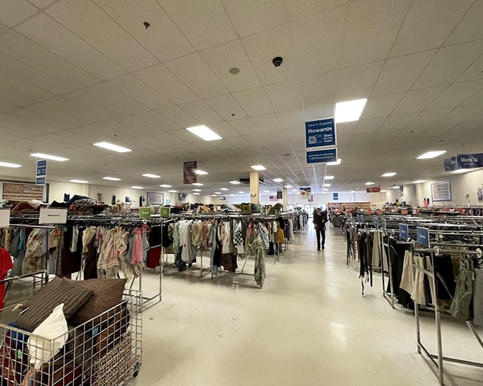 Behold the vast kingdom of pre-loved goods, where shopping carts become chariots of thrifty conquest.