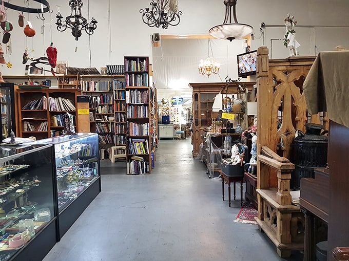 Wide aisles mean you can actually browse without performing acrobatics, unlike your aunt's overstuffed garage you're always dodging disasters in.