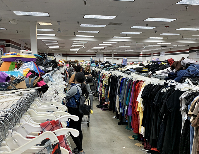 Amazing clothing options that will definitely make your wardrobe full of surprises.