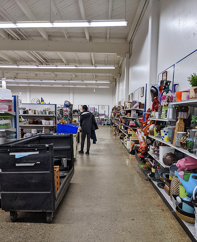 Endless aisles of possibility stretch before you, where someone's discarded kitchen gadget becomes your next culinary adventure.