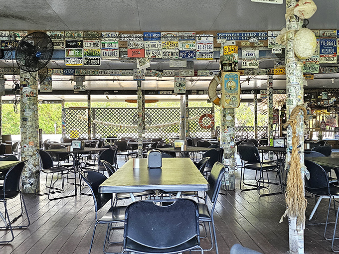 License plates from across America create a metallic mosaic overhead. Each one represents someone who found this slice of Keys paradise worth commemorating.