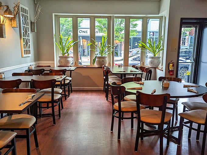 Clean lines, natural light, and comfortable seating prove that diners don't have to choose between cozy and claustrophobic.