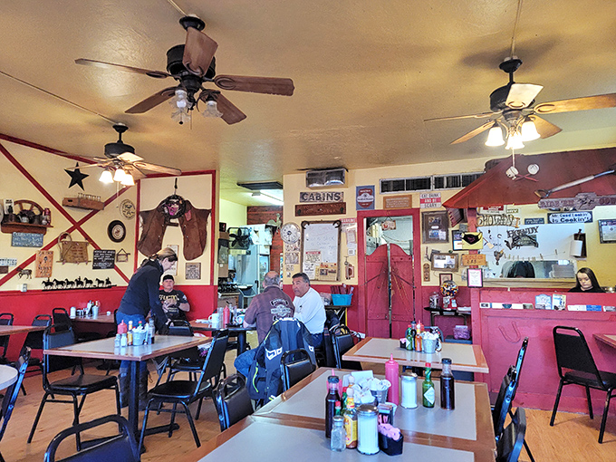 Inside, ceiling fans lazily spin above red vinyl booths while western memorabilia covers every inch of wall space. It's like dining inside a museum of cowboy culture.