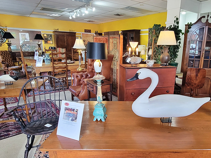 Swan lake meets living room goals! That wooden duck decoy is silently judging your current furniture choices.