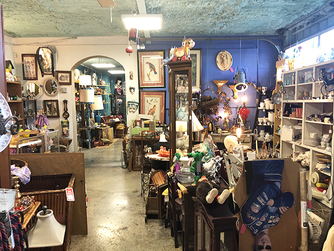 Step inside and suddenly you're Indiana Jones, except instead of ancient temples, you're raiding grandma's impossibly cool attic collection.