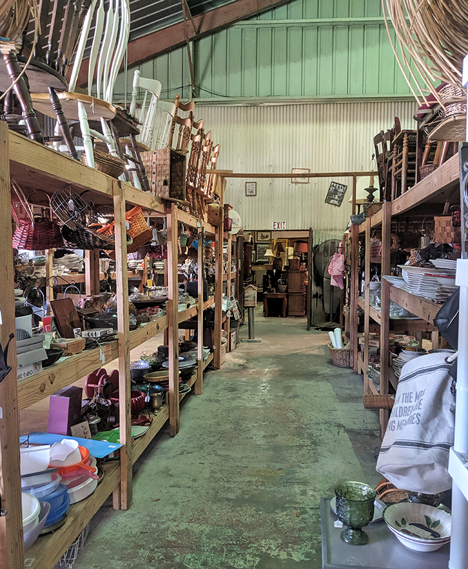 Rows of wooden shelves stretch endlessly, packed with discoveries waiting to happen in this indoor wonderland of secondhand treasures.