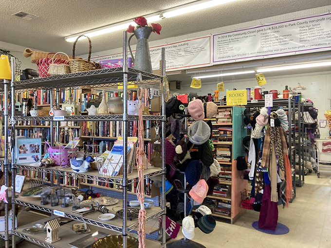 Books, hats, and endless possibilities await inside. This isn't just organized chaos&mdash;it's a carefully curated collection of life's extras finding new purpose.