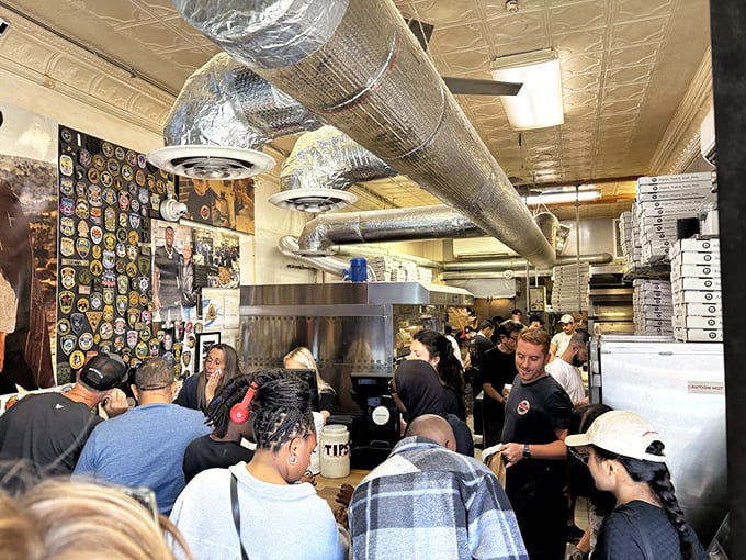 Organized chaos at its most delicious. The line inside Angelo's moves with the precision of a well-rehearsed ballet.