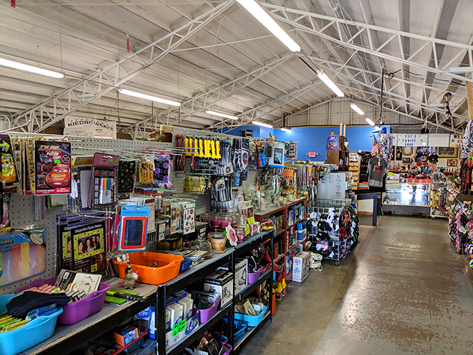 Aisle after aisle of possibility awaits in the indoor section. It's like your grandmother's attic and a discount store had a baby that grew up organized.