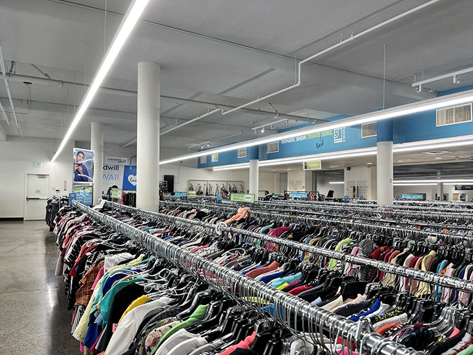 Endless racks of clothing stretch toward the horizon, a colorful sea of fabric waiting to reveal its hidden gems.