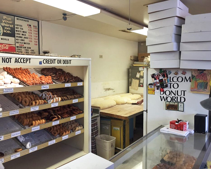 Behind the counter, shelves lined with freshly-made treasures reveal the simple truth: in the donut world, beauty lies in unpretentious perfection.
