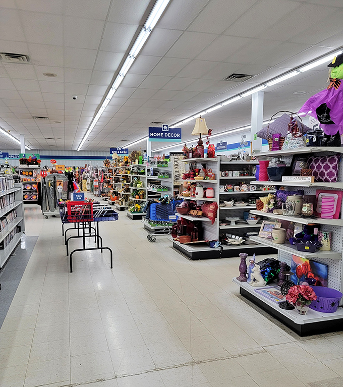 Wide, clean aisles and organized displays make this thrift store feel more like a department store that's having the sale of the century.