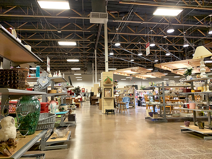 Where else but a thrift store could you find a Venetian carnival mask with enough drama to upstage any home decor? Someone's former Mardi Gras memento awaits its second act.