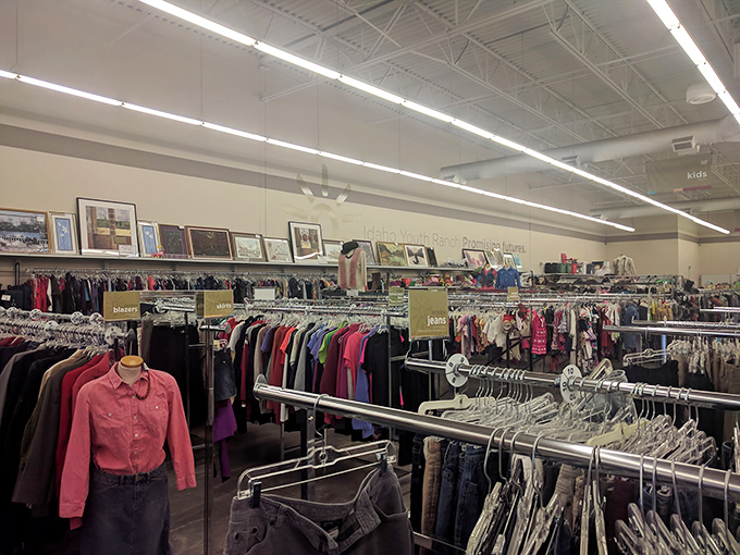 Row after row of possibilities stretch before you&mdash;organized, bright, and refreshingly devoid of chaos.