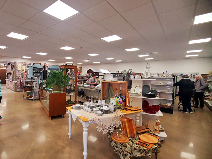 Treasure hunting in progress! The well-organized interior makes bargain hunting feel less like dumpster diving and more like an archaeological expedition.