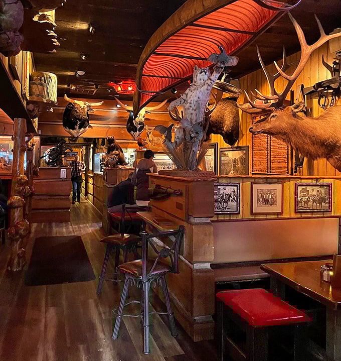 Game heads and historic photographs create an atmosphere where every booth feels like dining inside a delicious museum exhibit.